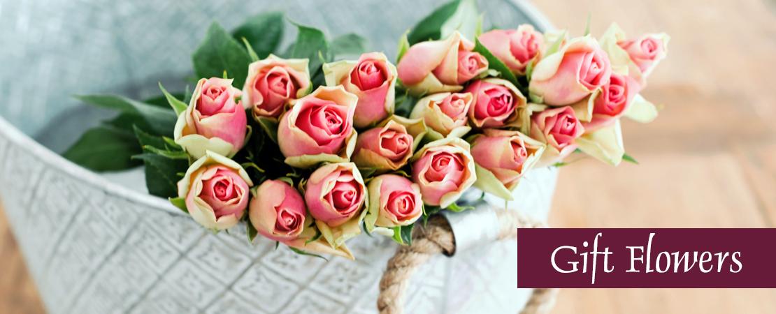 Home | The Rose Bower | Sutton in Ashfield | Nottinghamshire