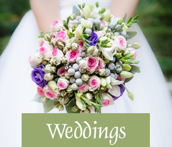 Home | The Rose Bower | Sutton in Ashfield | Nottinghamshire